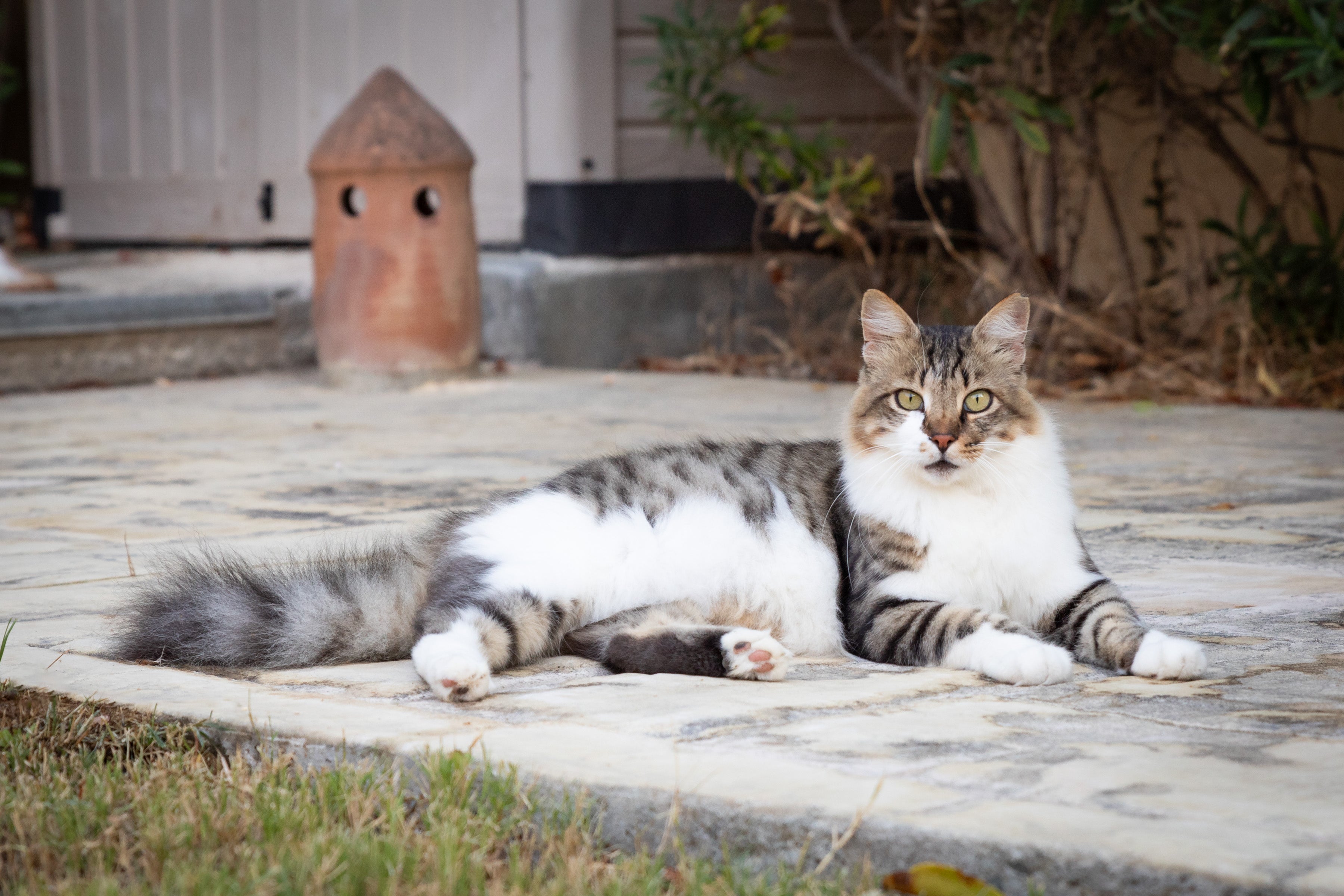Why Cyprus? – Fluff & Boots